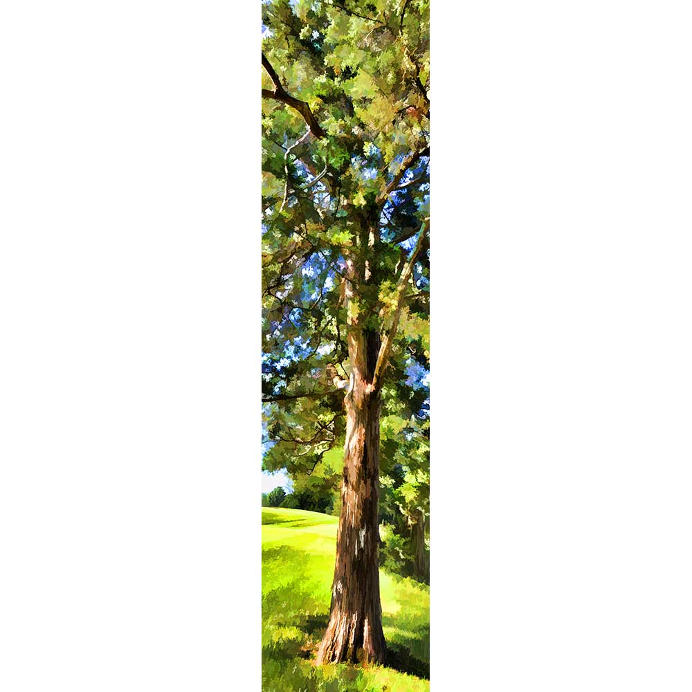 Cedar1 - Vertical panorama wall art – Serenity Scenes Photography and ...