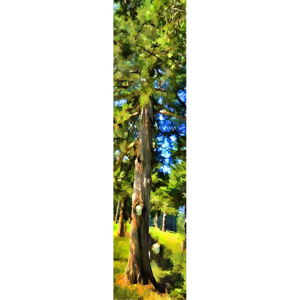 Cedar3- Vertical panorama wall art – Serenity Scenes Photography and ...