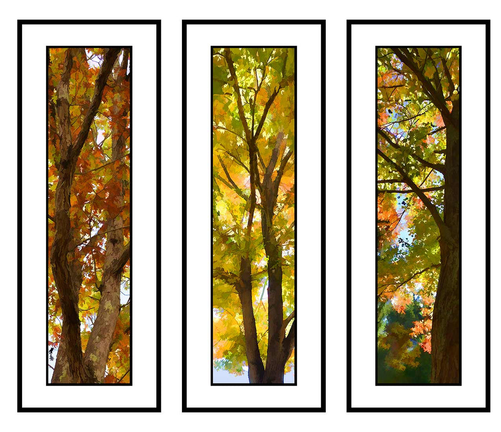Abstract Fall Grouping of Vertical Panoramas – Serenity Scenes ...