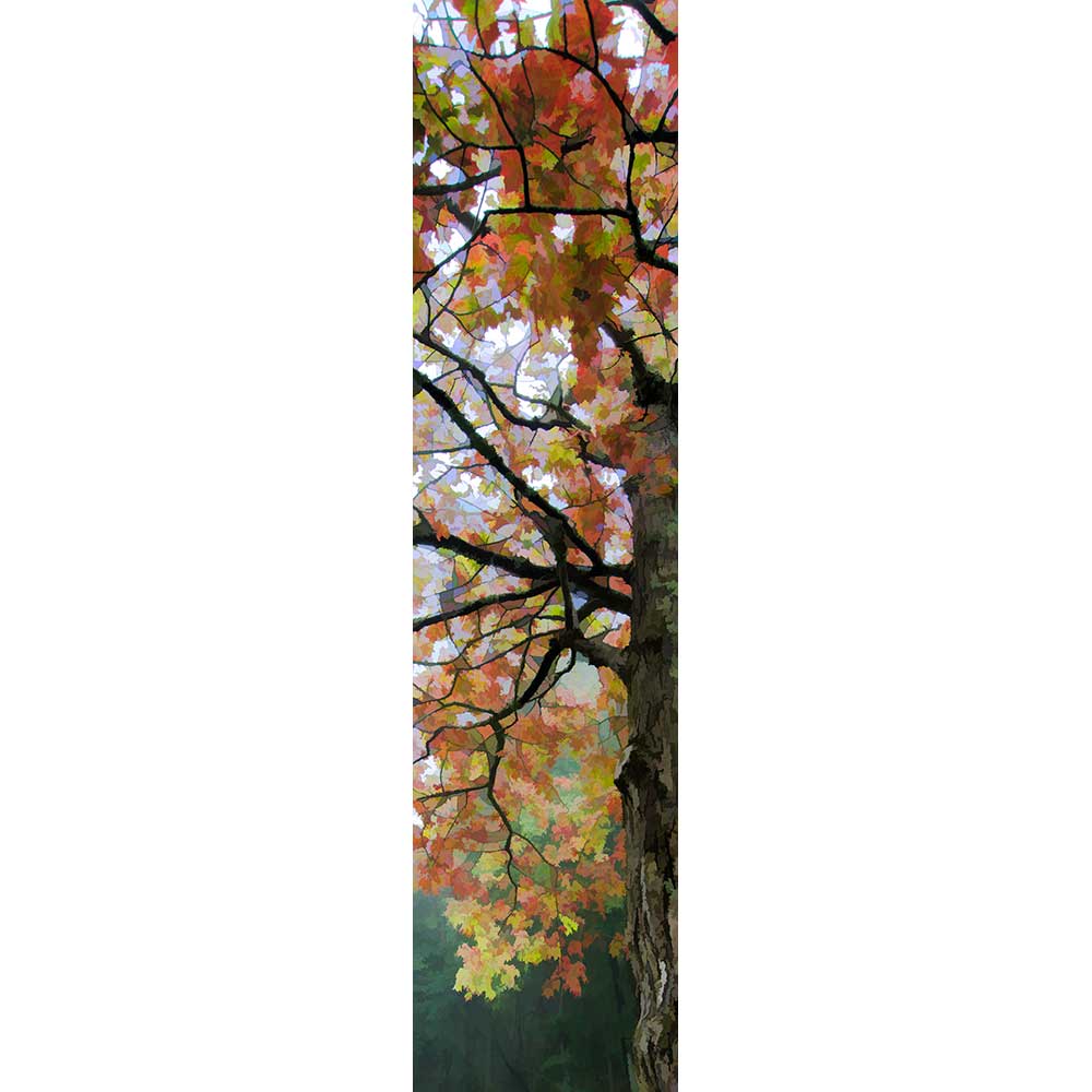 Vertical Panoramas – Serenity Scenes Photography and Digital Art