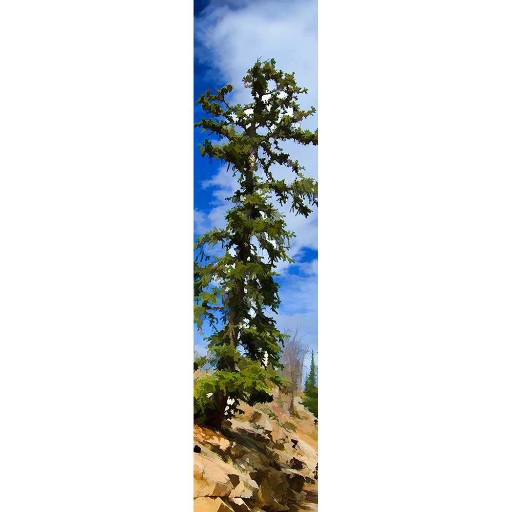 Standing Tall - Vertical panorama wall art – Serenity Scenes ...