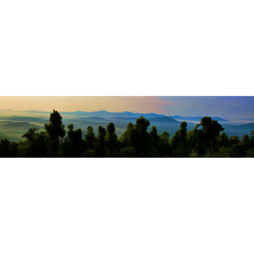 The Audience - Panorama wall art – Serenity Scenes Photography and ...