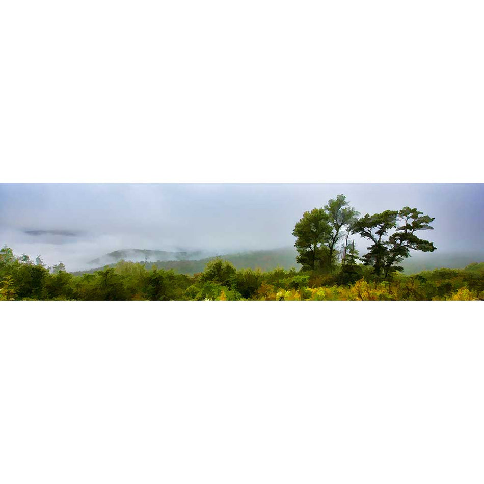 Unique nature images for home and office - Serenity Scenes – Serenity ...