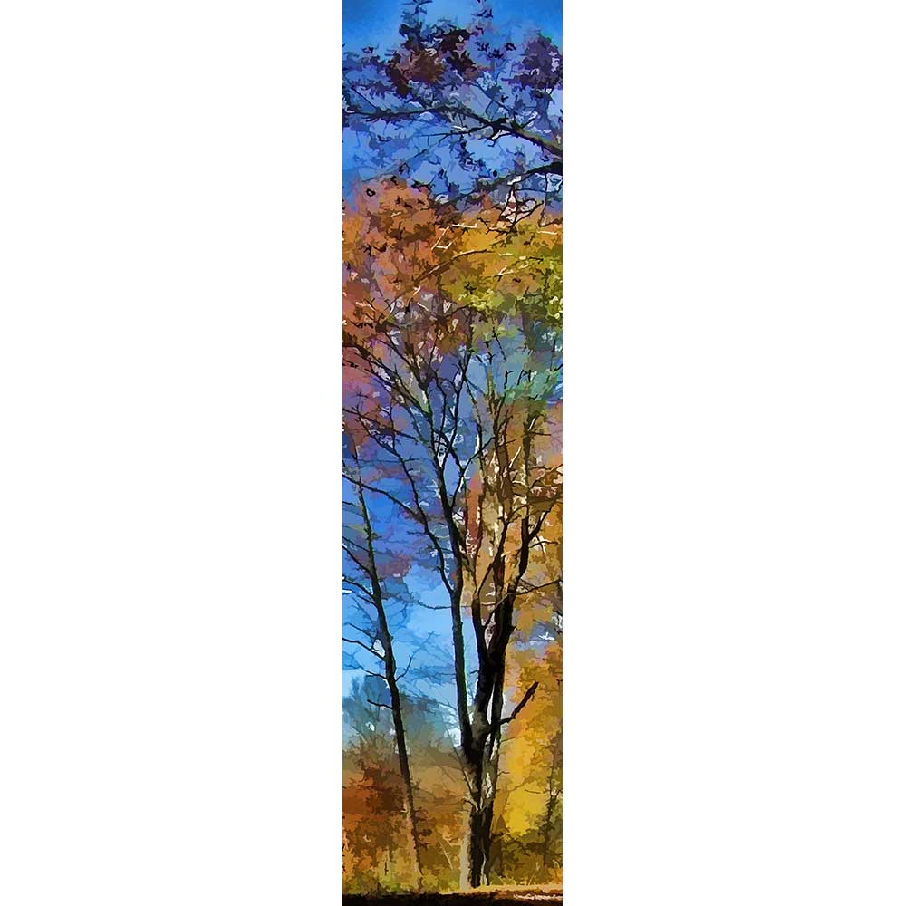 Fall Forest - Vertical pnaorama wall art – Serenity Scenes Photography ...
