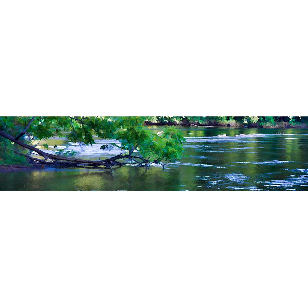 Fallen Branch - Panorama wall art – Serenity Scenes Photography and ...