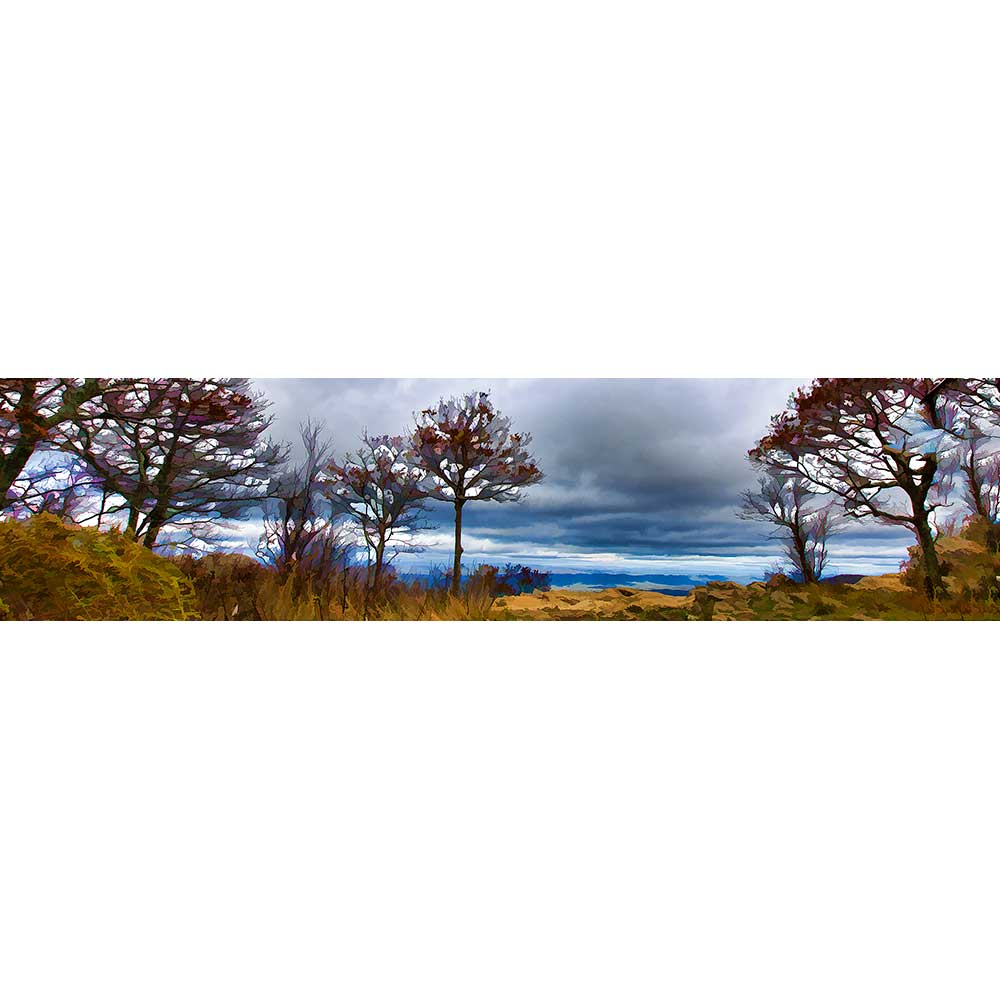 Tree Line - Panorama wall art – Serenity Scenes Photography and Digital Art