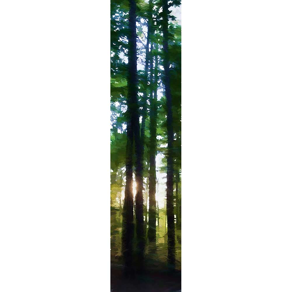 Woods at Sunset - Vertical panoramic wall art – Serenity Scenes ...